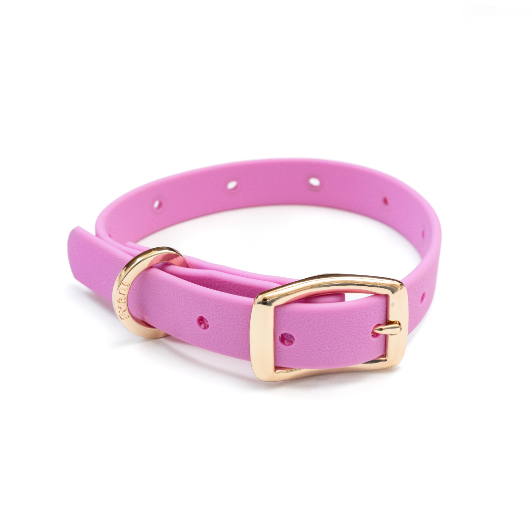Furei Pets - Moodies Collar: Brick – The Modern Dog Company Store