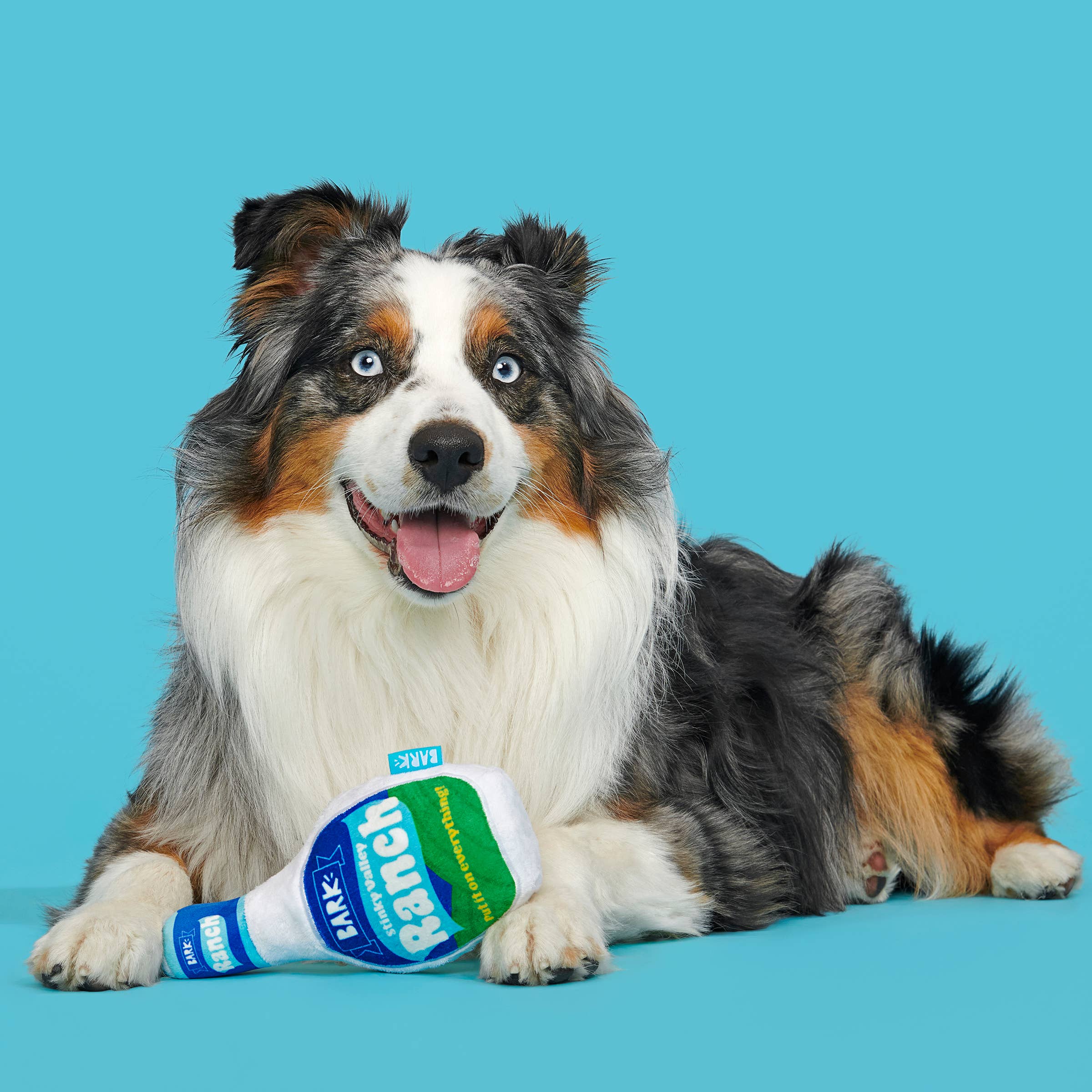 BARK Stinky Valley Ranch Plush Dog Toy S/M – The Modern Dog Company Store