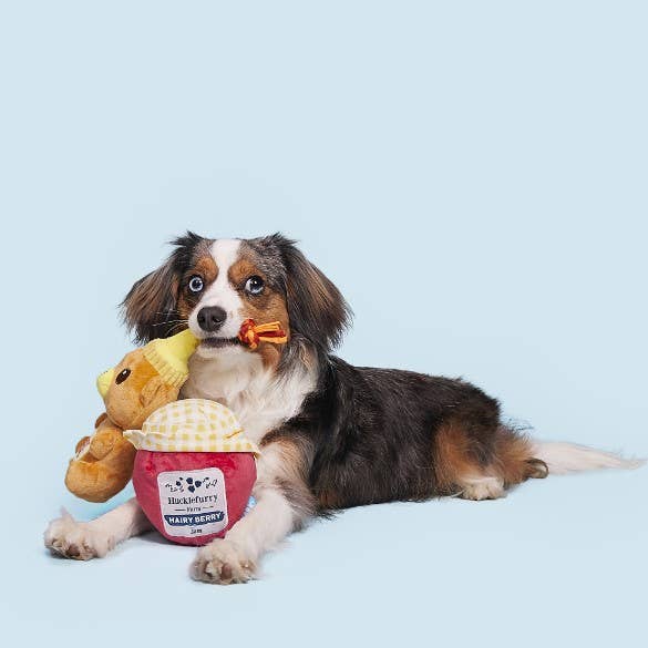 BARK That's My Jam, Honey Plush Dog Toy – The Modern Dog Company Store
