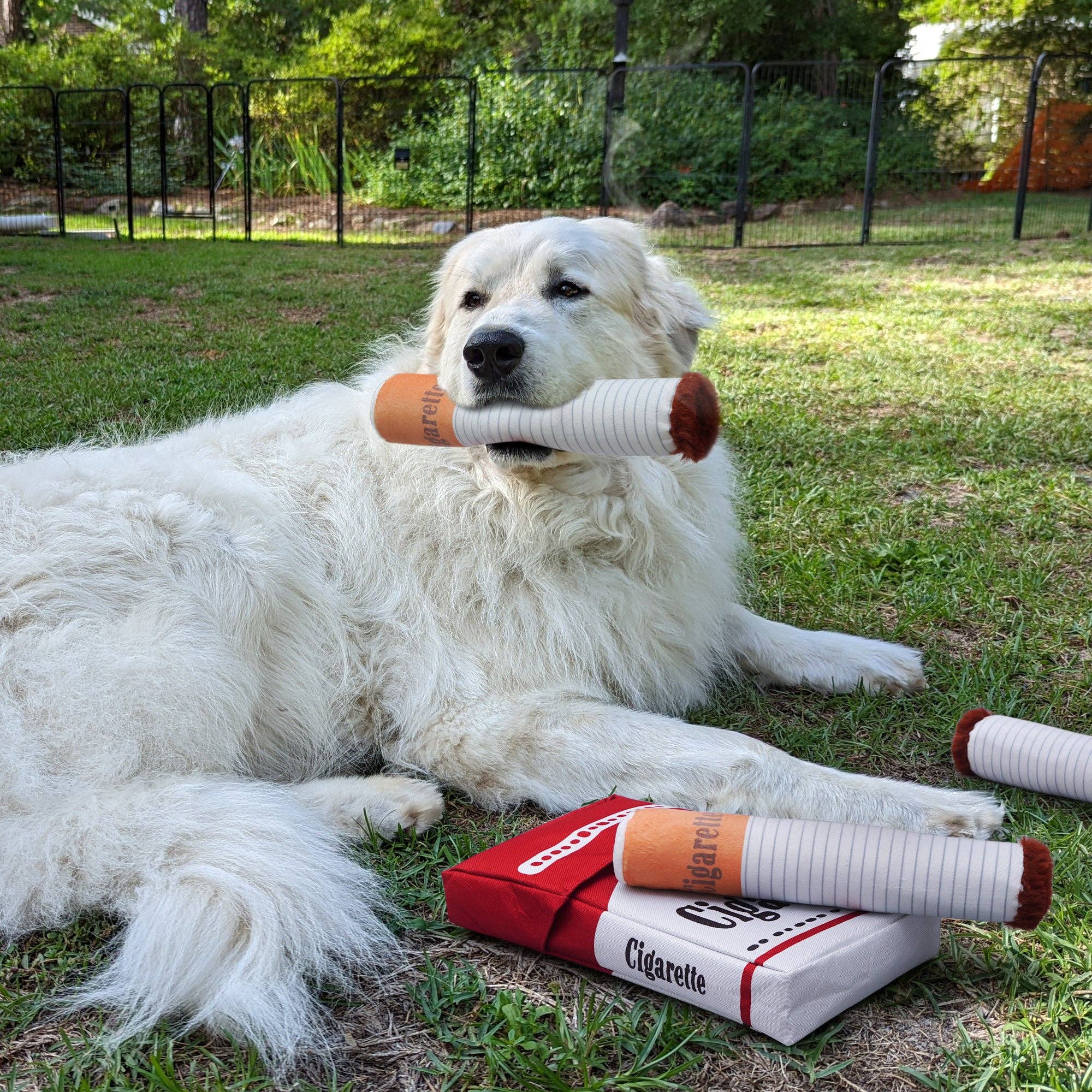 Nocciola - Nocciola Big Giggle Puff Stick Toys with a Box – The Modern ...