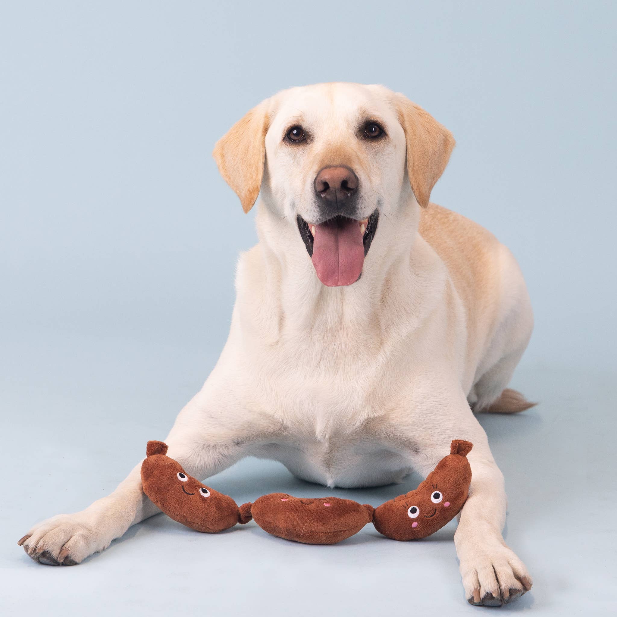 Wagsdale - Making Ends Meat Plush Dog Toy – The Modern Dog Company Store