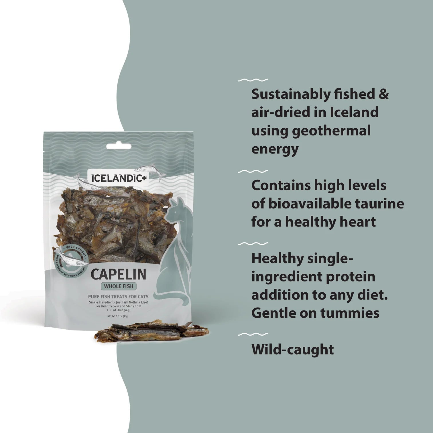 Icelandic+ Whole Capelin Cat Treats 1.5oz – The Modern Dog Company Store