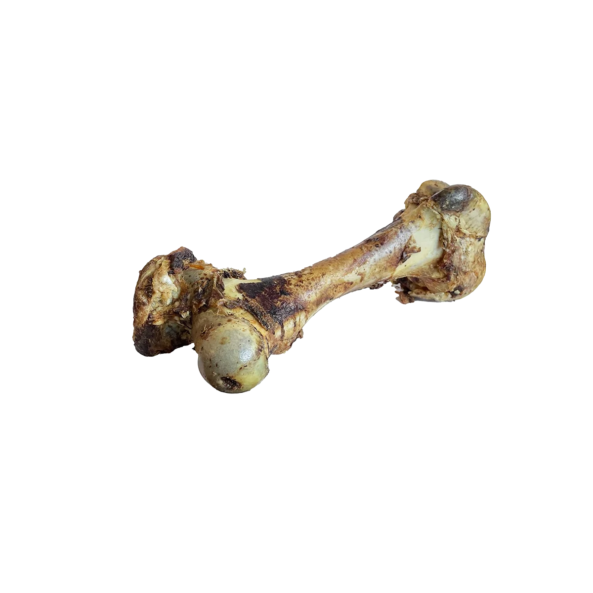 Home Range Cured Dino Bone (Femur) – The Modern Dog Company Store