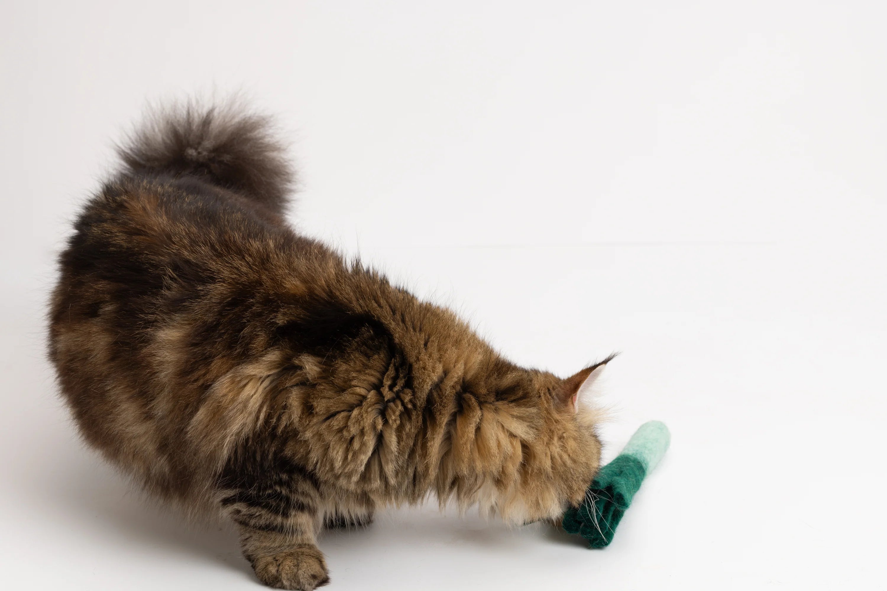 Mimi's Daughters Lean Leek - Felt Cat Toy – The Modern Dog Company Store