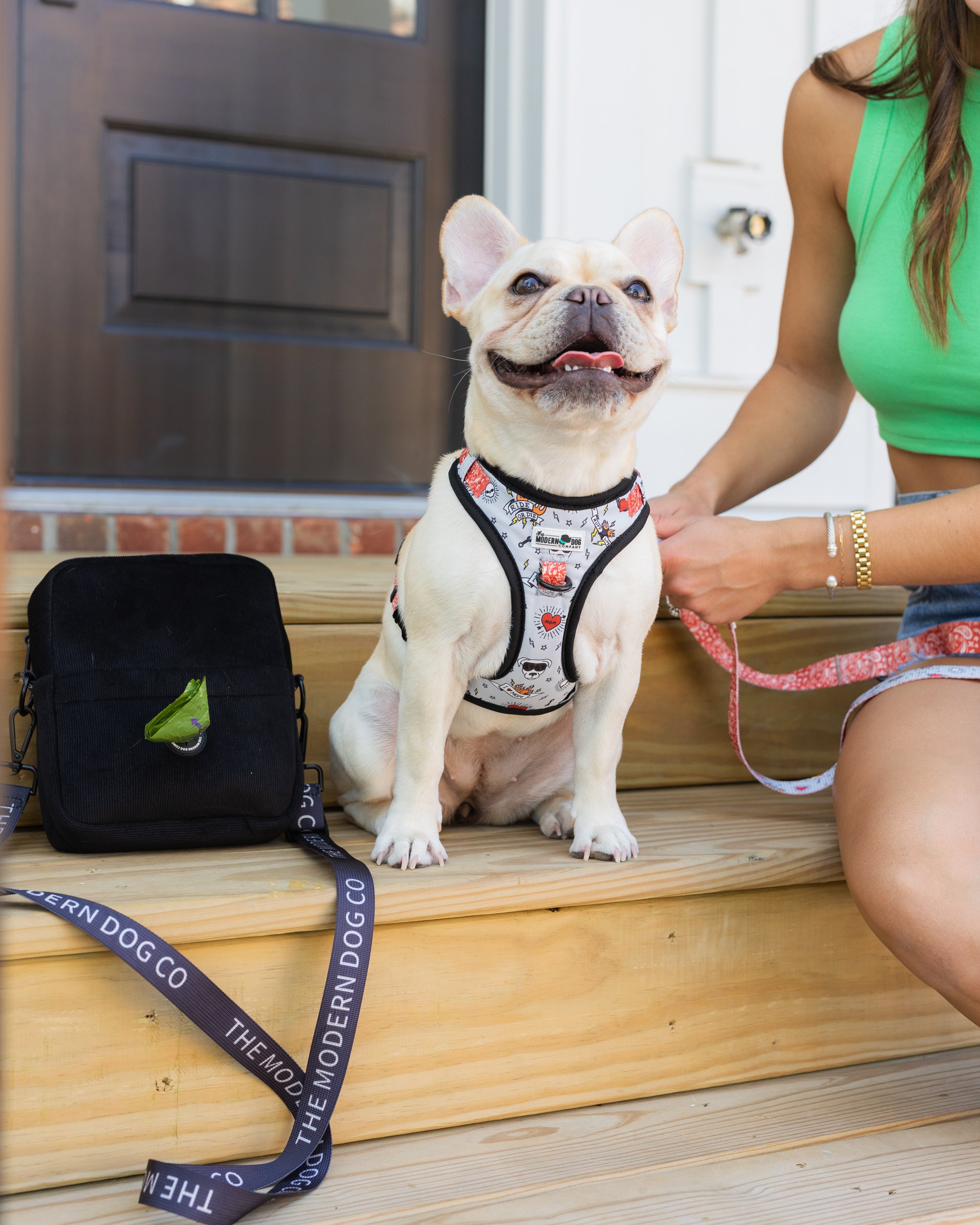 Harnesses | The Modern Dog Company Store