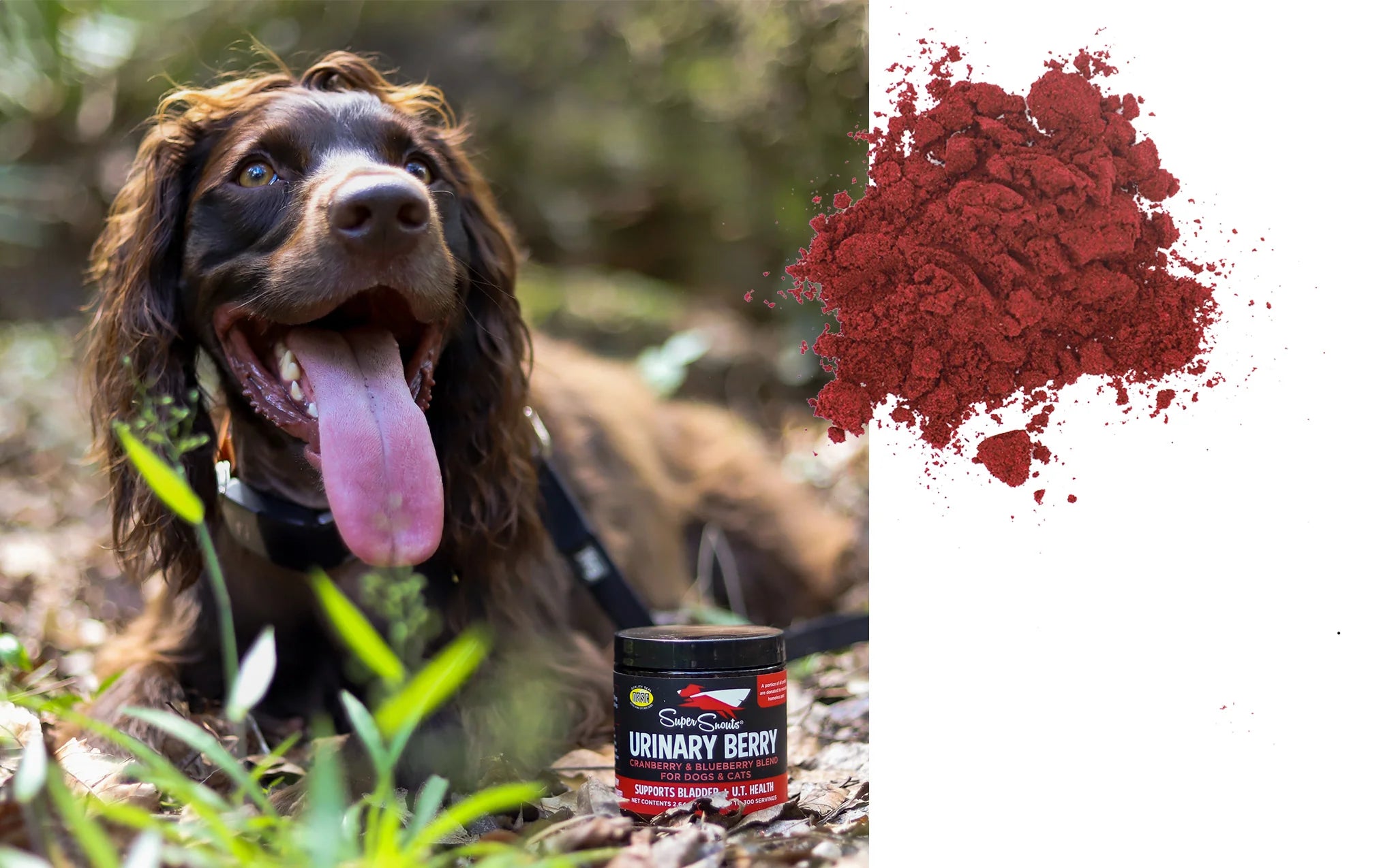 Super Snouts Urinary Berry – The Modern Dog Company Store