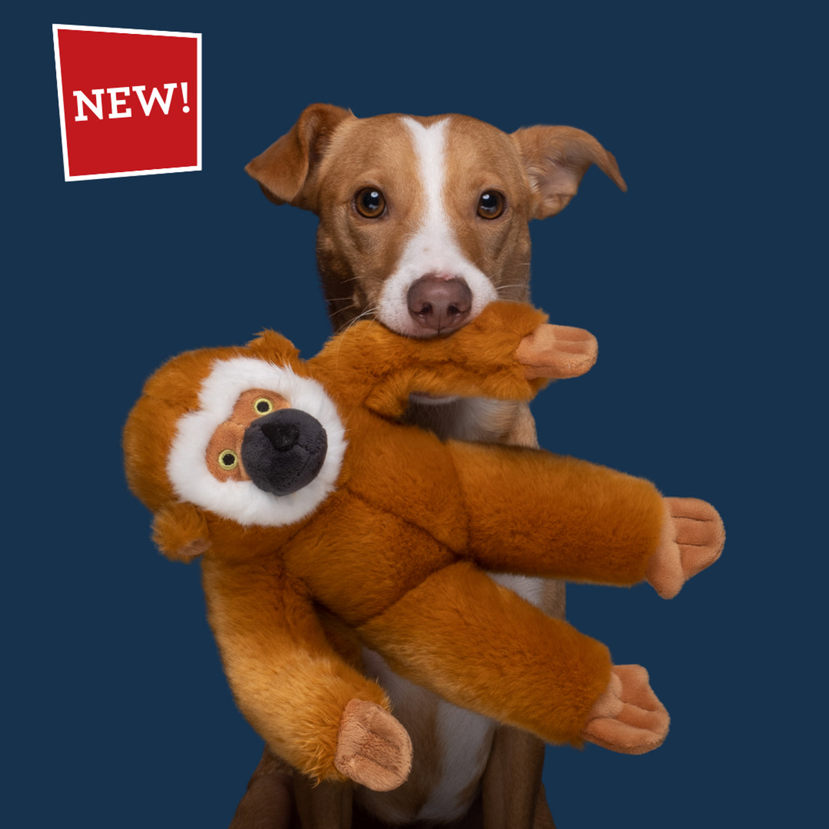 Fluff & Tuff Marcel Monkey | The Modern Dog Company Store