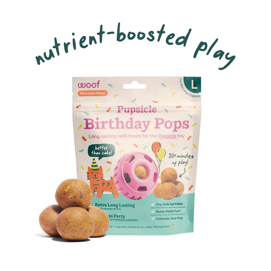 Woof Pupsicle Birthday Pops – The Modern Dog Company Store