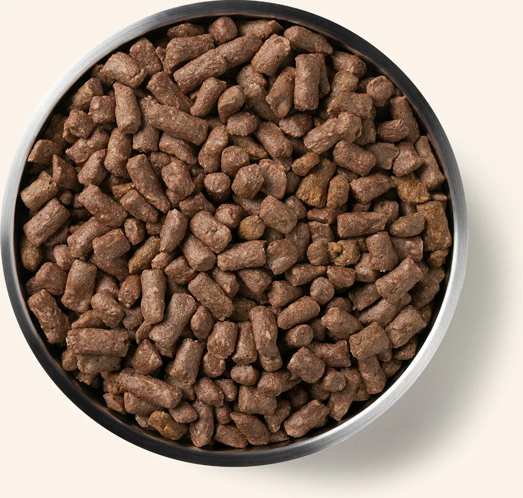 Vital Essentials Freeze-Dried Raw Beef Entree Mini Nibs Dog Food - 14o ...
