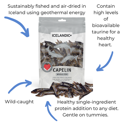 Icelandic + Dog Treat Capelin Whole & Pieces of Fish | The Modern Dog ...