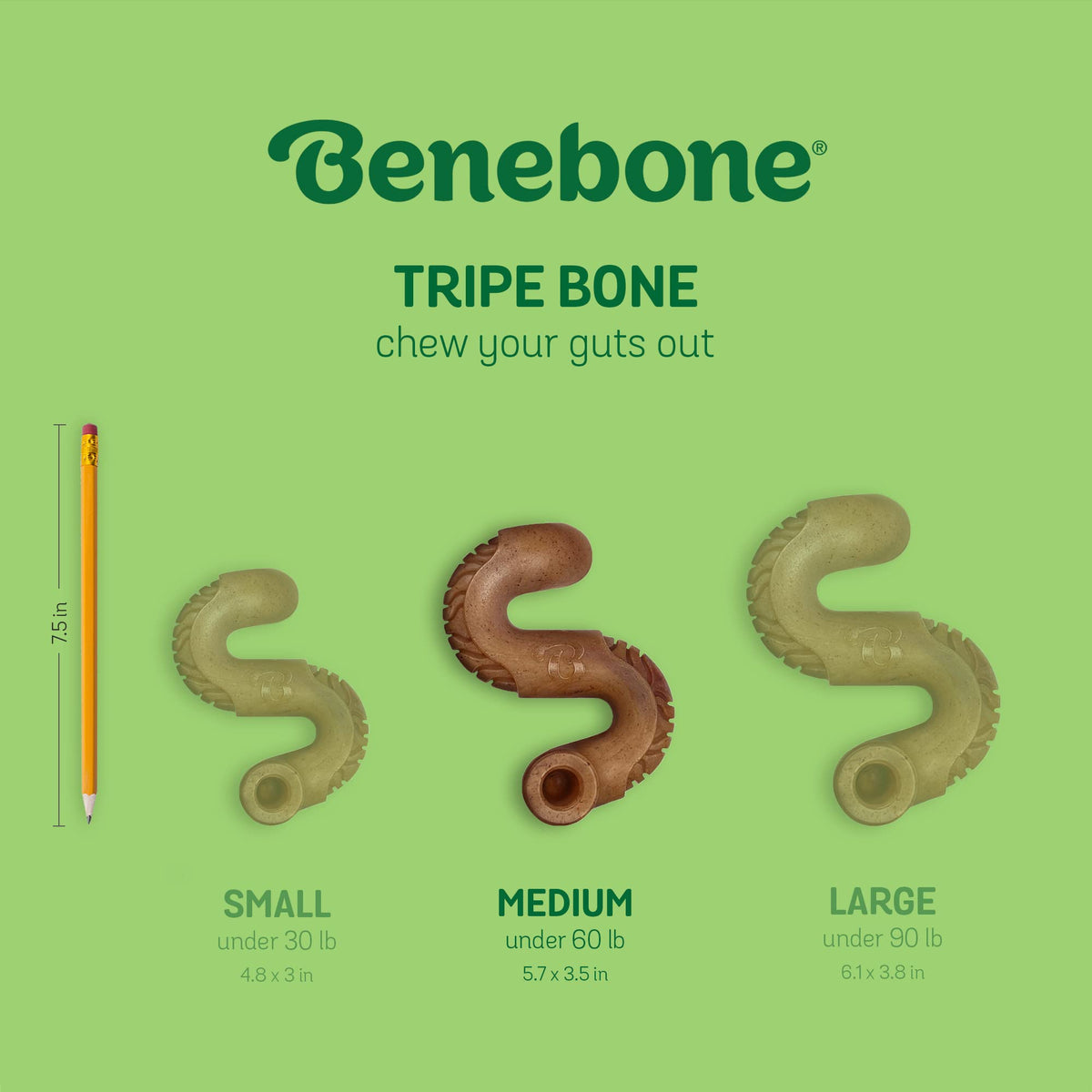 Benebone Tripe Bone | The Modern Dog Company Store