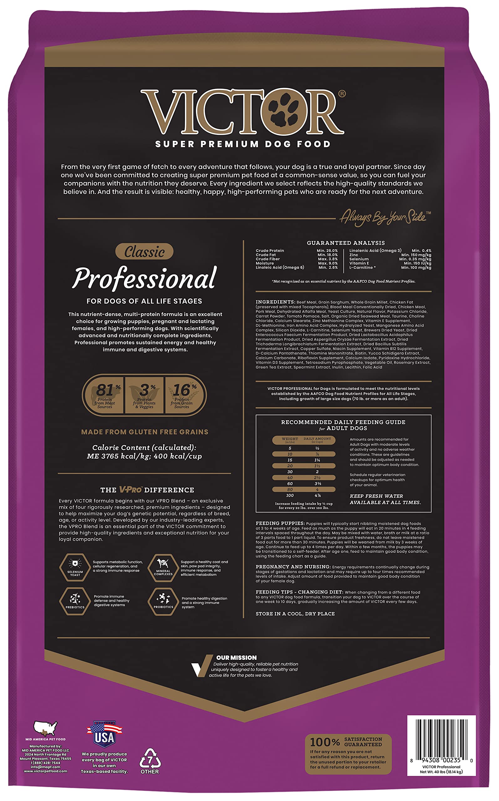 Victor Classic Professional – The Modern Dog Company Store