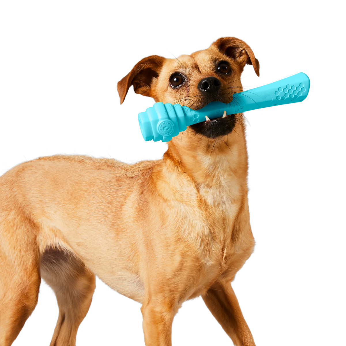Project Hive Floating Fetch Stick - Vanilla Scented | The Modern Dog ...