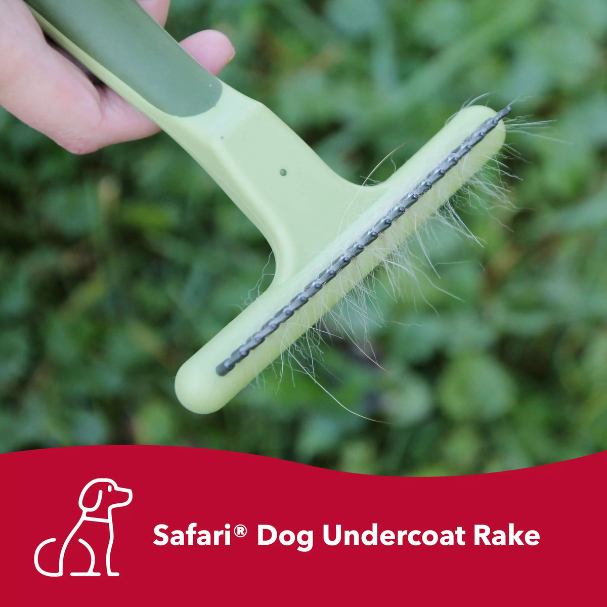 Safari Undercoat Rake - Single Row | The Modern Dog Company Store