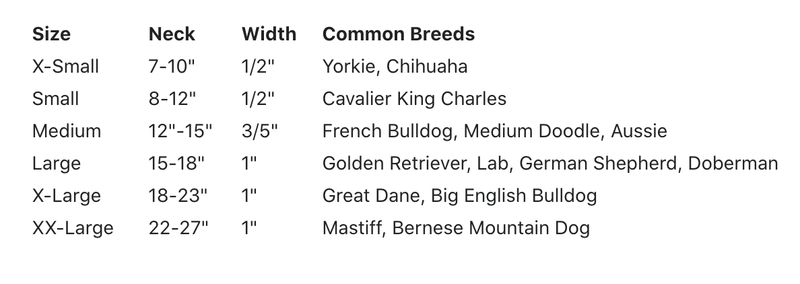 The Modern Dog Company